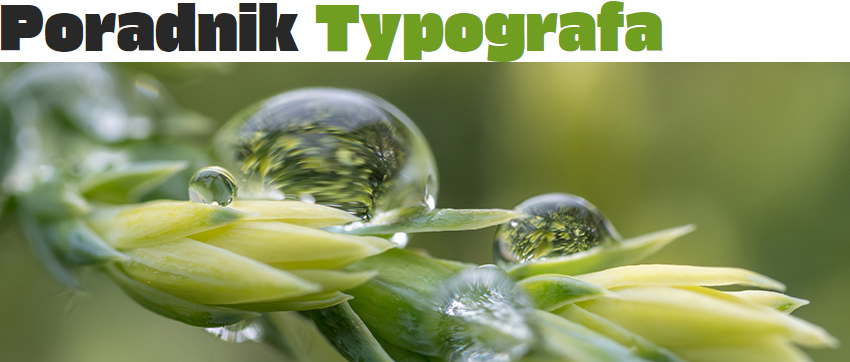 Polskie Fonty Online | Typografia ze smakiem